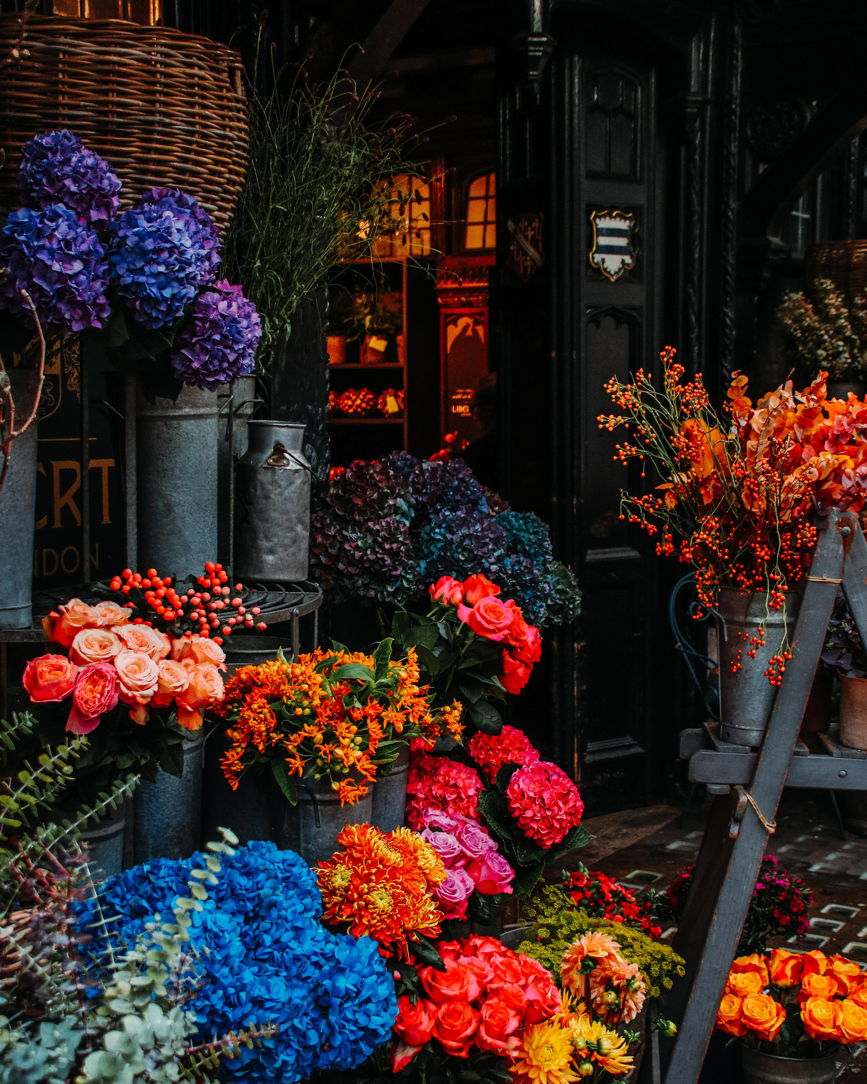 Collections – Mombati SSB Store